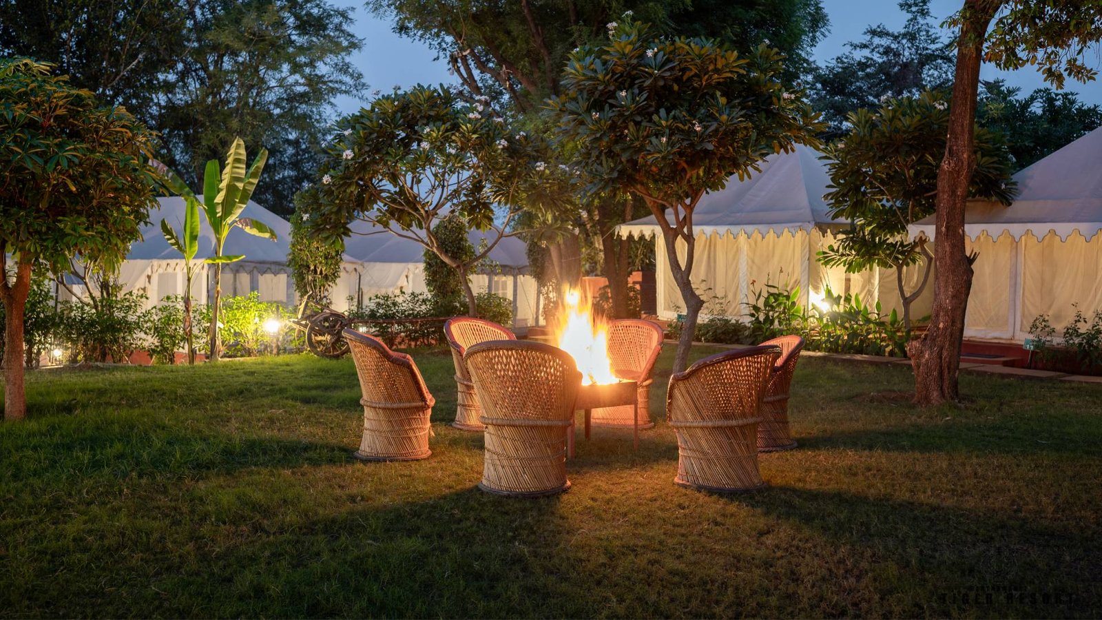 All About the Facilities at Ranthambore Tiger Resort - rajasthanbeats.com